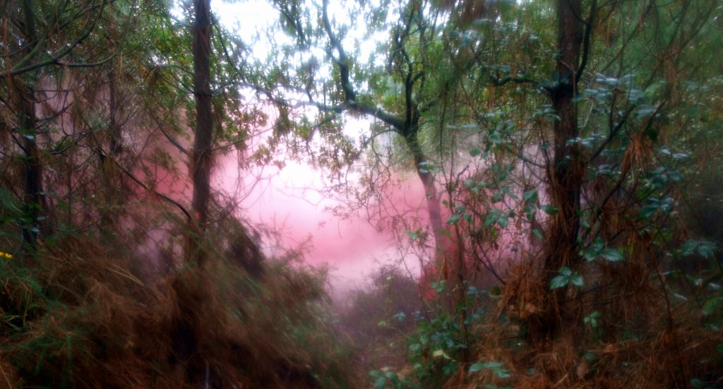 creer un effet d ambiance avec des machines à fumée : un accessoire ...